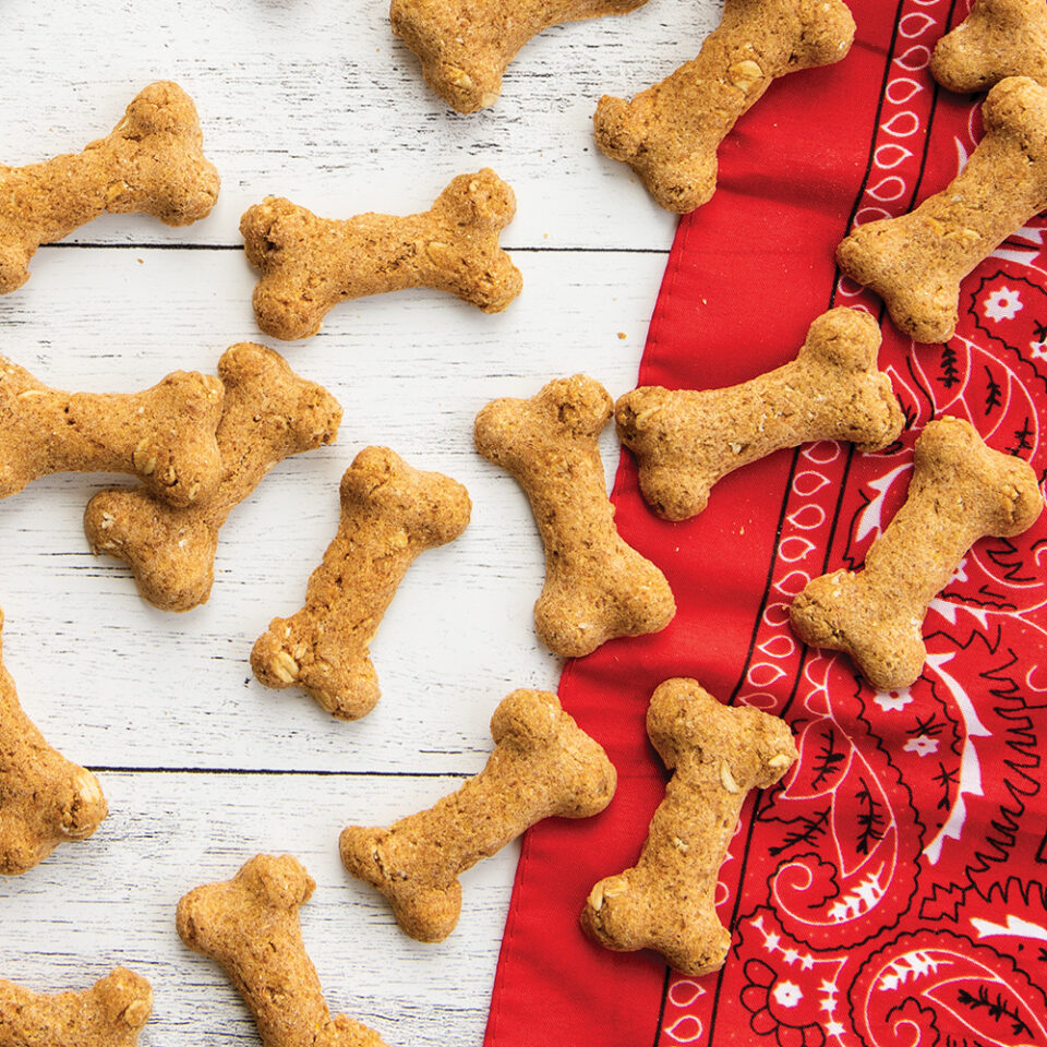 Homemade Dog Treat Mix | Gourmet Baking Mixes | Nordic Ware
