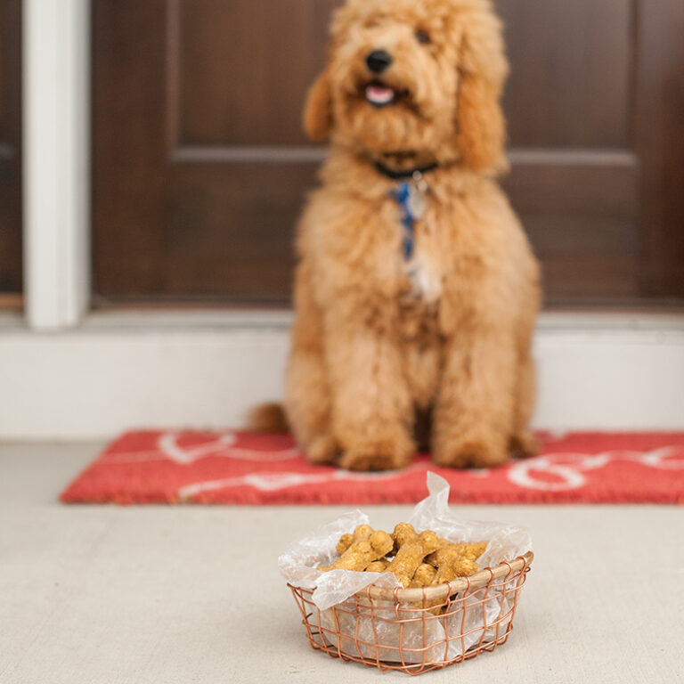 Homemade Dog Treat Mix | Gourmet Baking Mixes | Nordic Ware