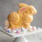 Vanilla 3D Bunny Cake - Nordic Ware