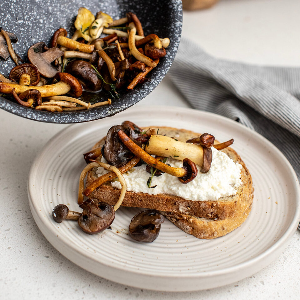 Basalt 8 Inch Nonstick Skillet Pan | Ceramic Coated Cookware | Nordic Ware